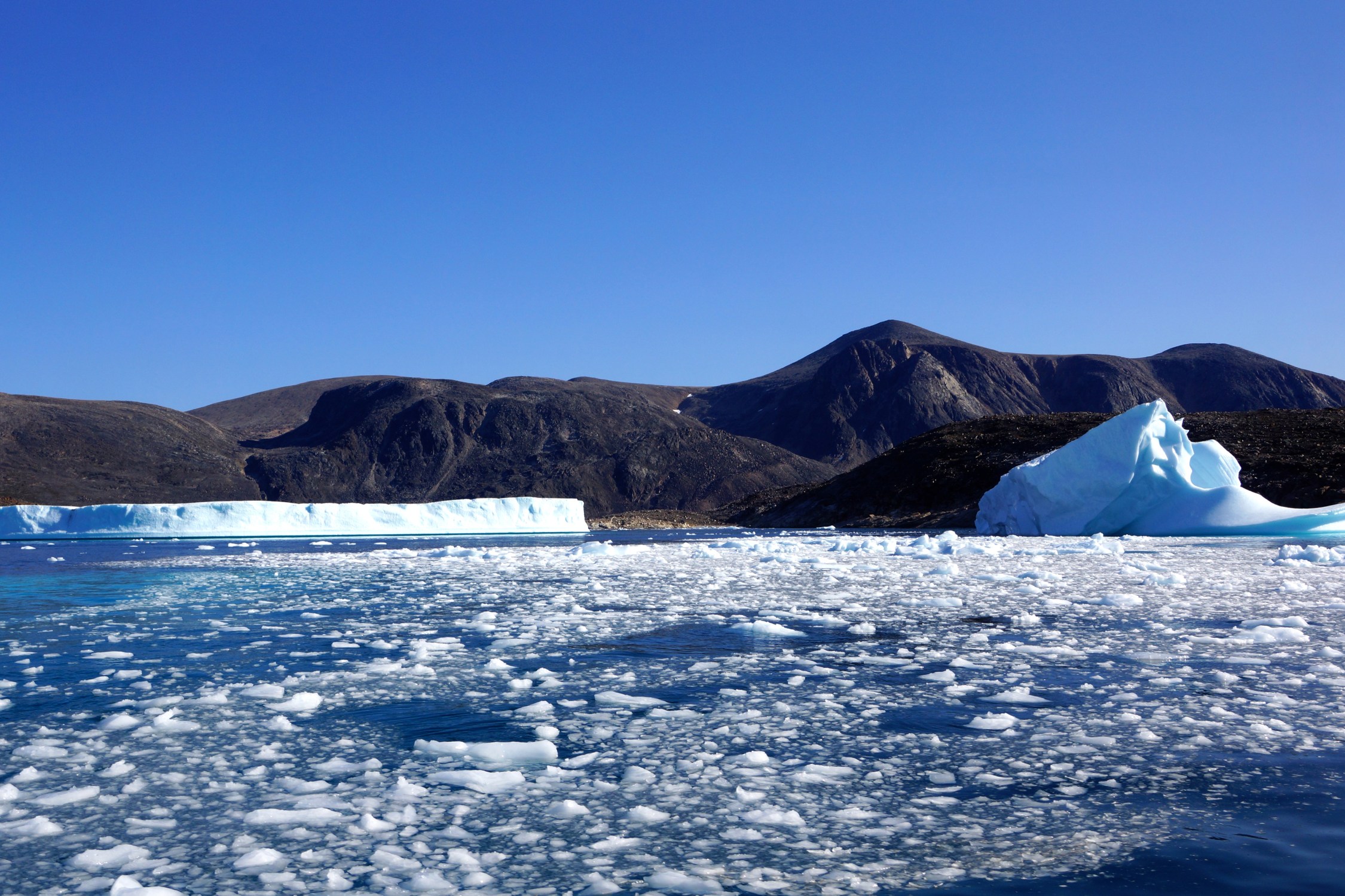 The Life Cycle of an Iceberg: From Glacier to the Ocean