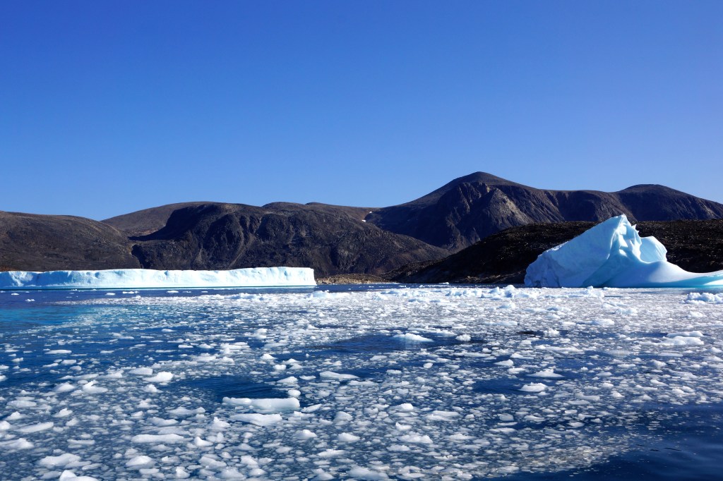 The Life Cycle of an Iceberg: From Glacier to the Ocean