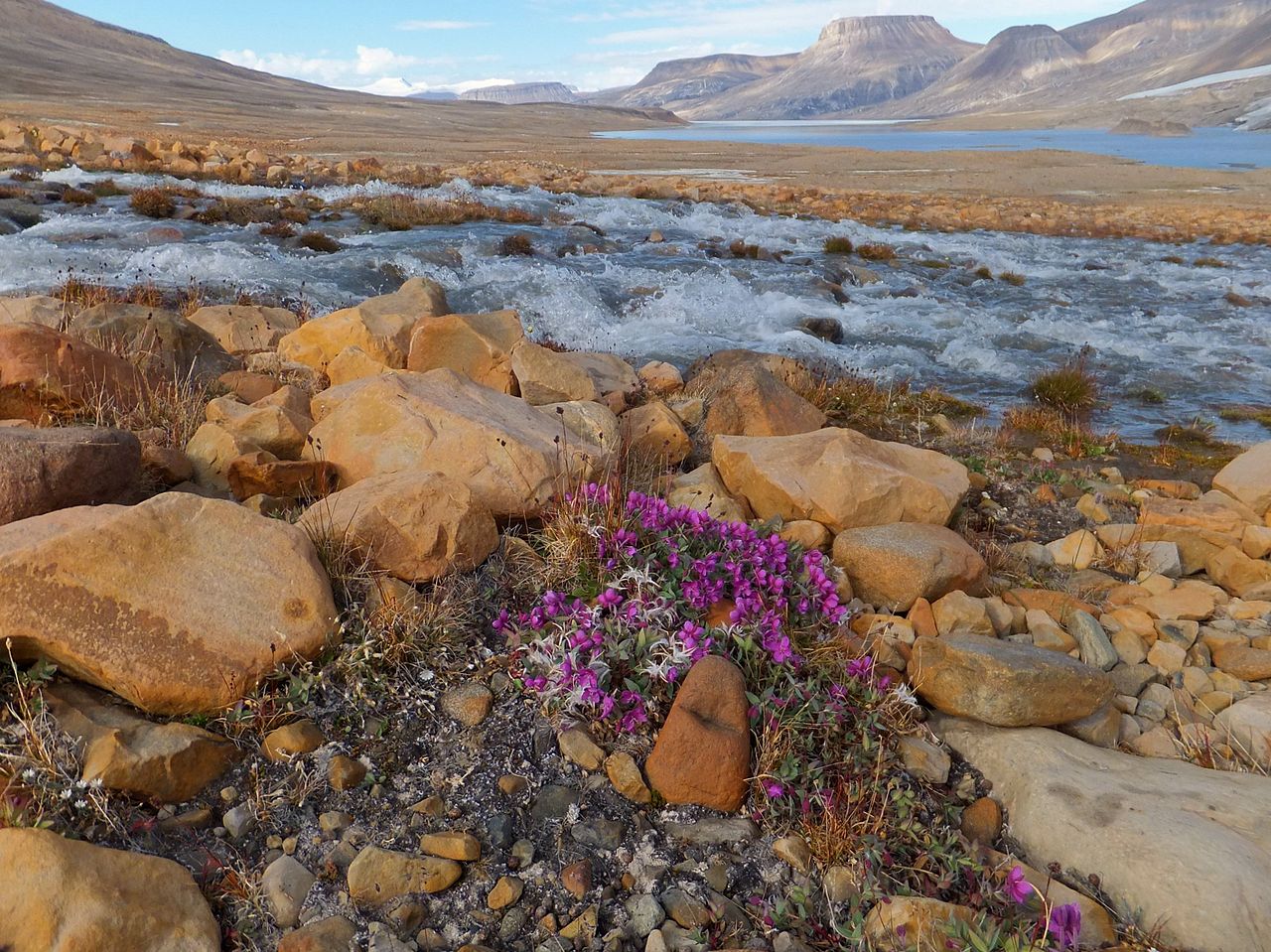 Travel Guide to Ellesmere Island - Arctic Kingdom