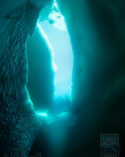 Explore The Floe Edge With Jill Heinerth - Arctic Kingdom