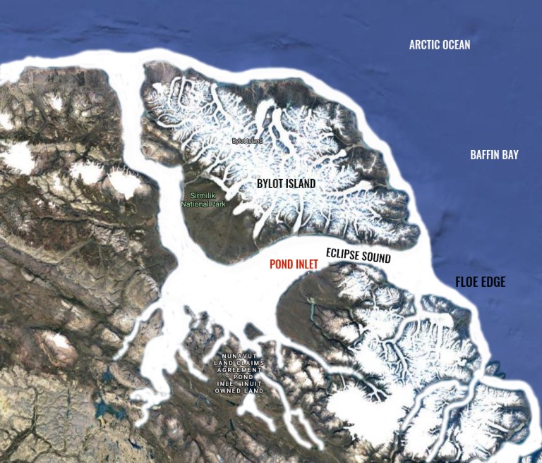 What Makes The Floe Edge A Marine Wildlife Hub