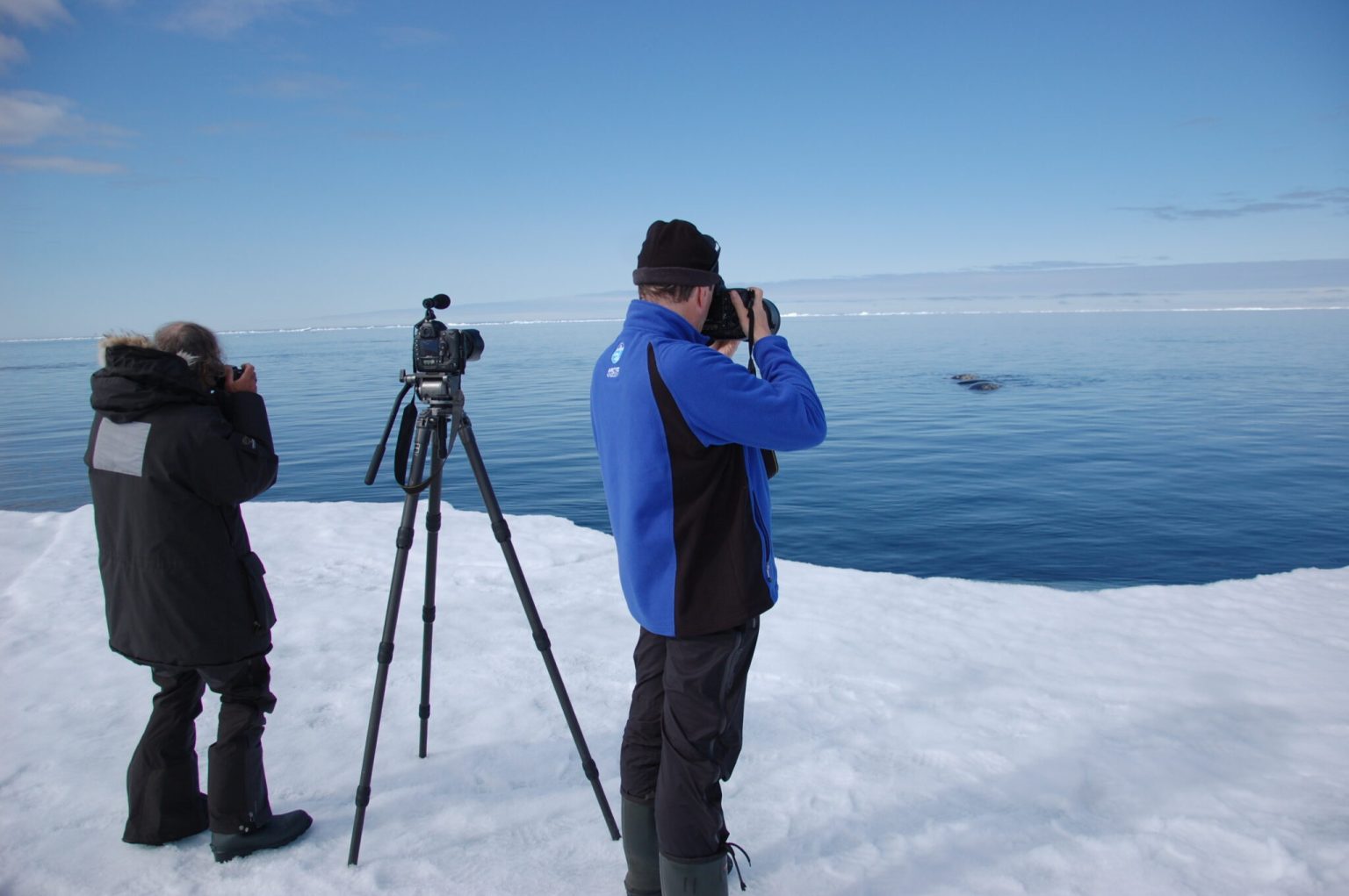 Arctic Bucket List Trip: Seeing Narwhals & Glaciers