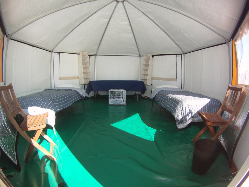 What to Expect with an Arctic Safari Camp - Arctic Kingdom