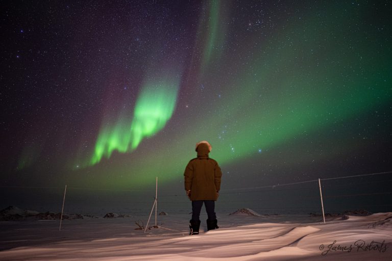 5 Fast Facts About Polar Night - Arctic Kingdom