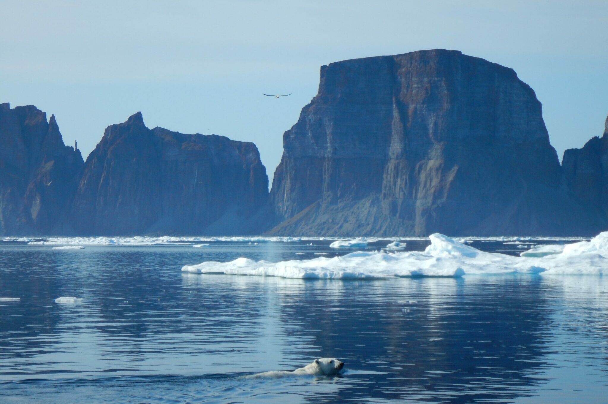 Summer In The Arctic: A Photographic Tour - Arctic Kingdom