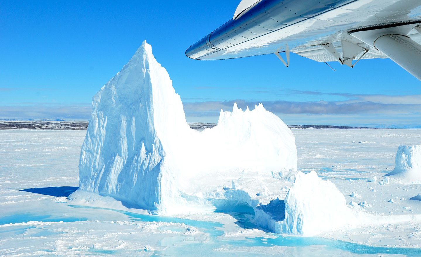 New Itinerary: Narwhal & Polar Bear Safari - Arctic Kingdom