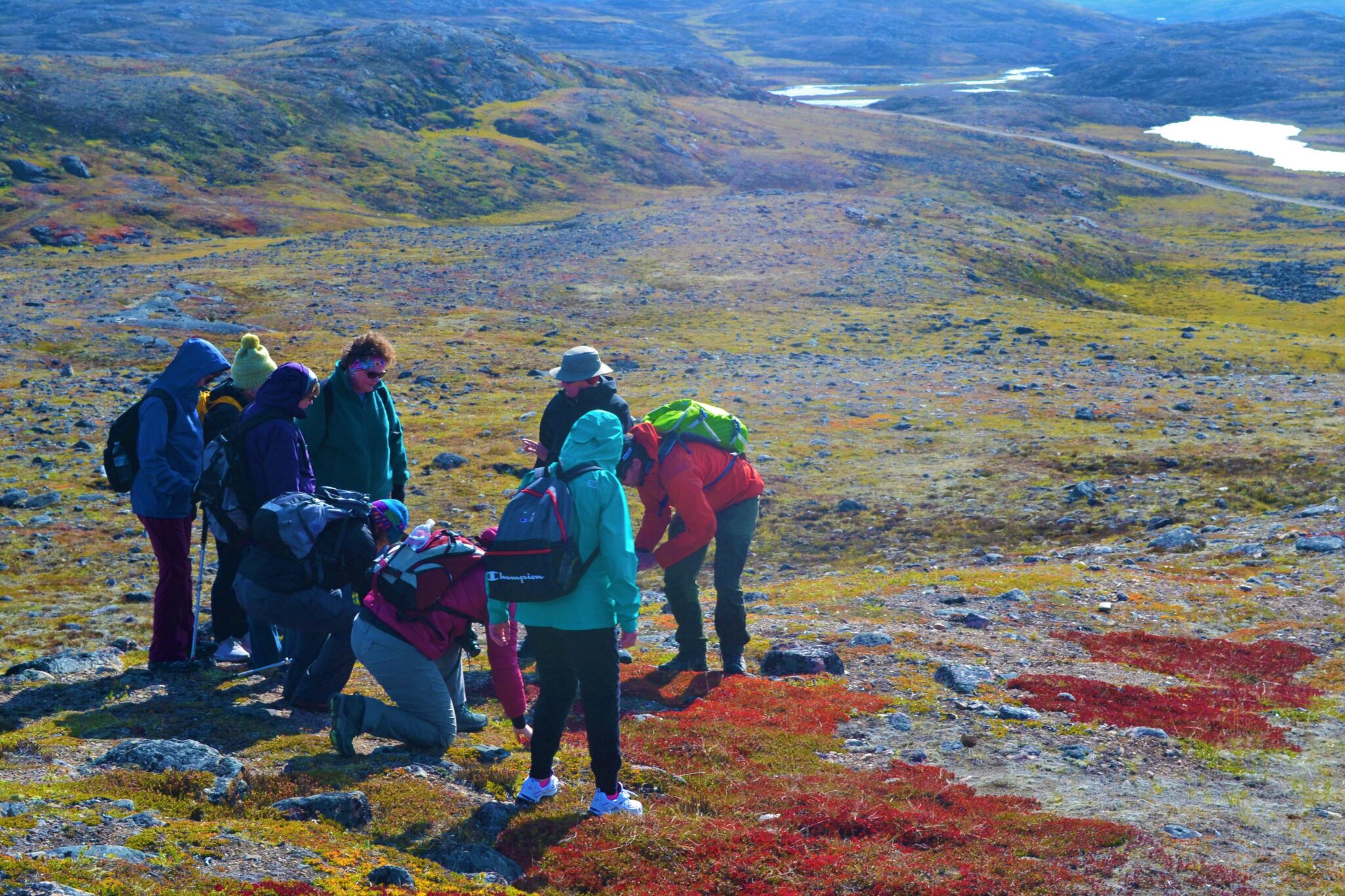 Summer In The Arctic: A Photographic Tour - Arctic Kingdom