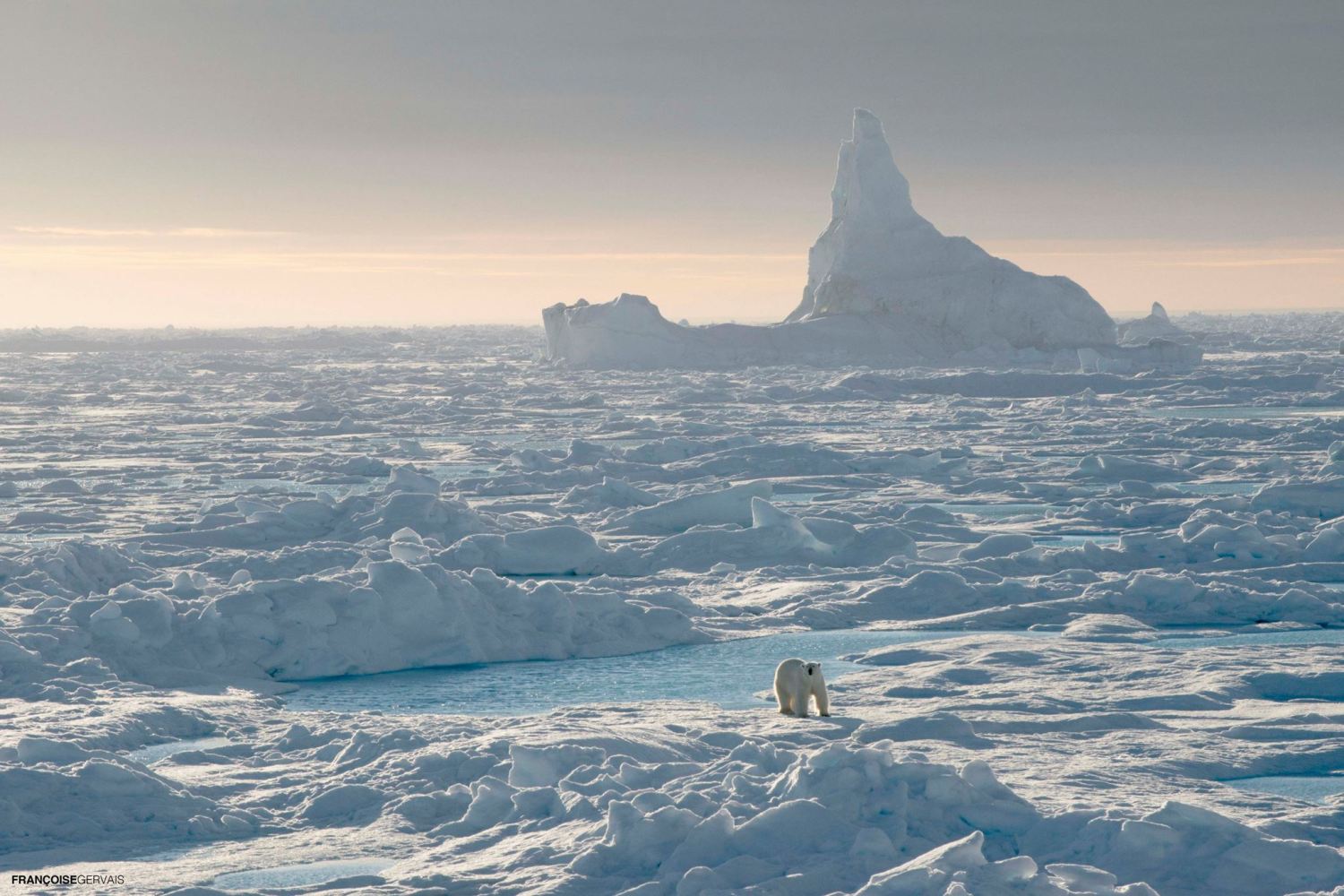 Spring Thaw in the Arctic - Arctic Kingdom