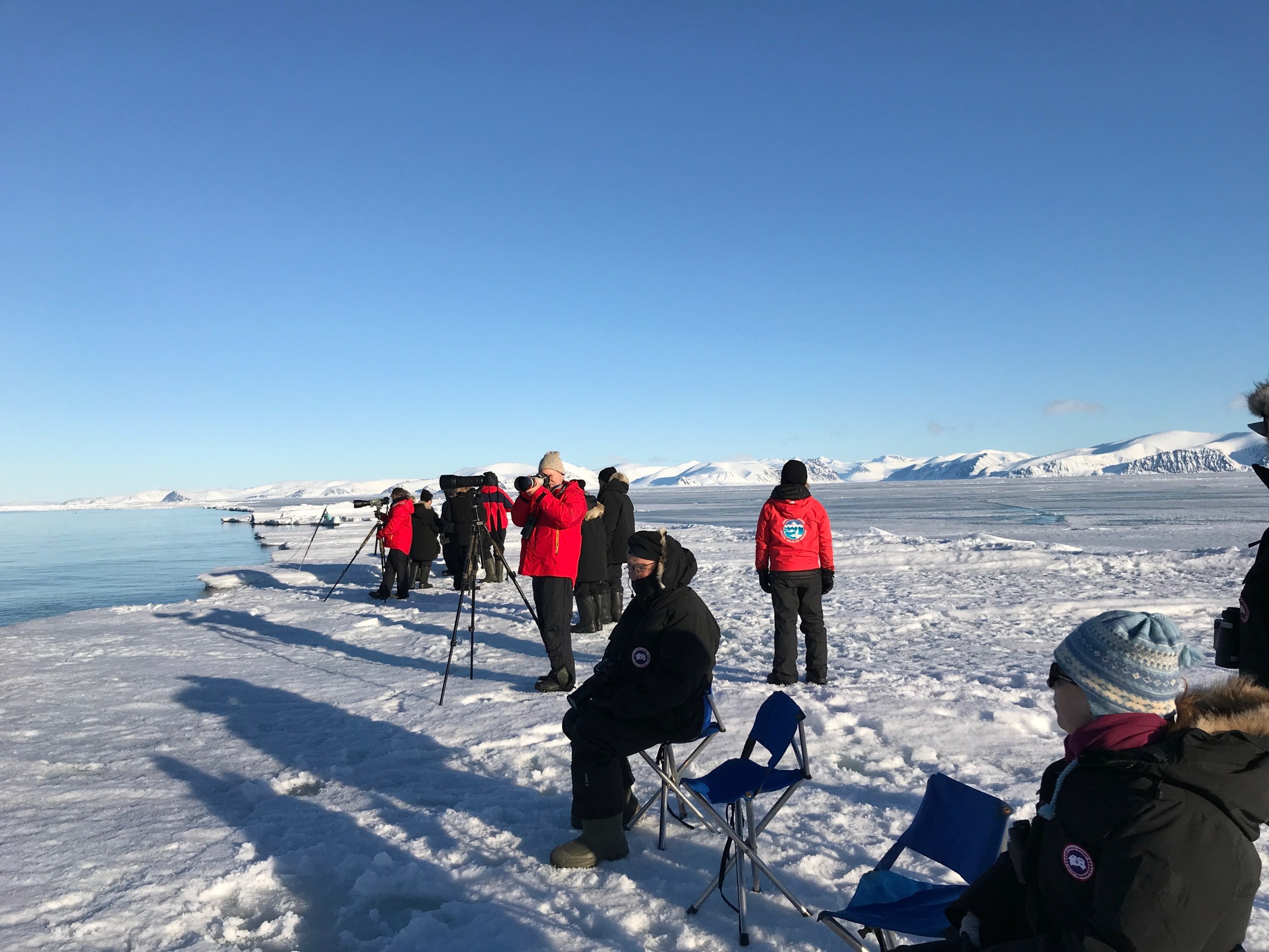 7 Amazing Things To Do In The Arctic - Arctic Kingdom