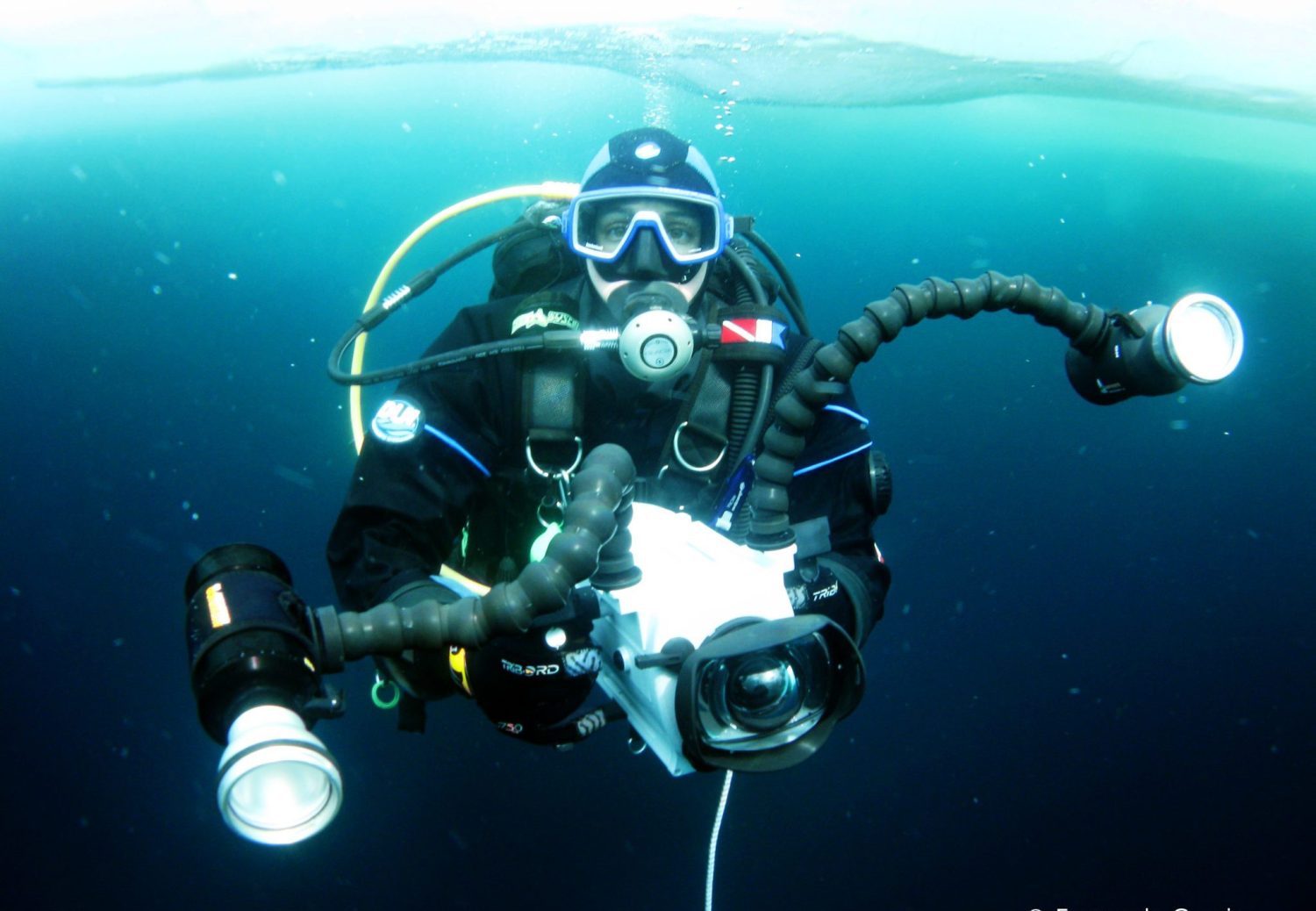 Arctic Kingdom Honoured With The Pioneer Award