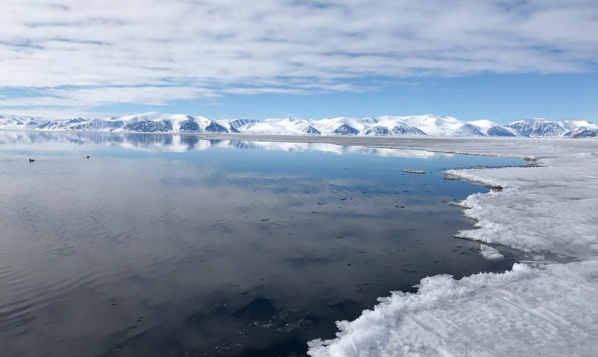 Why the Floe Edge - Arctic Kingdom