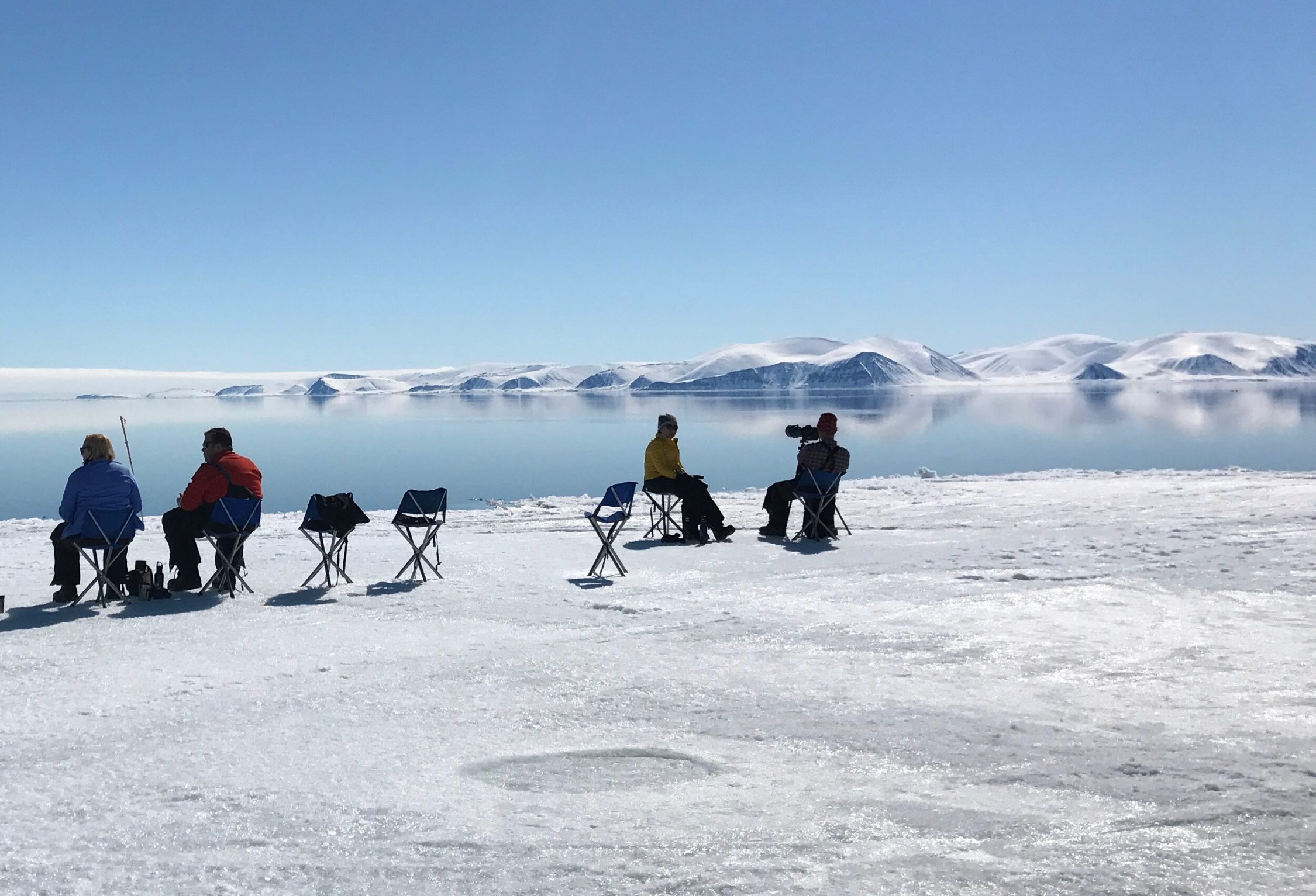 Arctic Safari Canada Guide To Iconic Wildlife And Landscapes