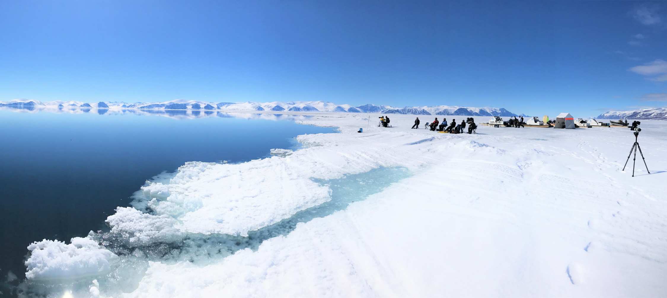 A Day In The Life Of A Floe Edge Safari - Arctic Kingdom