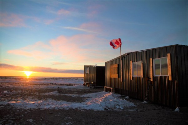 What to Expect with an Arctic Safari Camp - Arctic Kingdom