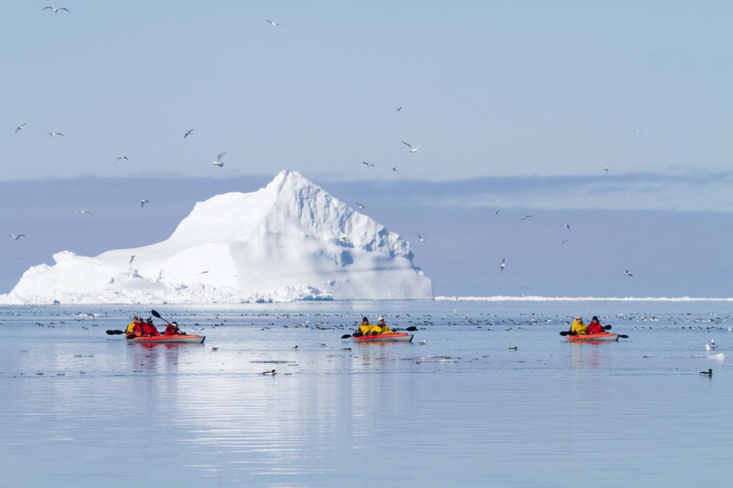 New Itinerary: Narwhal & Polar Bear Safari - Arctic Kingdom