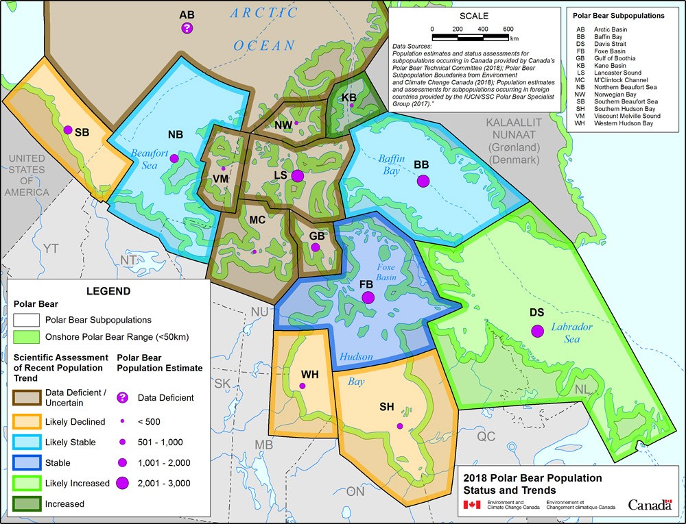Polar Bears Are Mostly Canadian - Arctic Kingdom