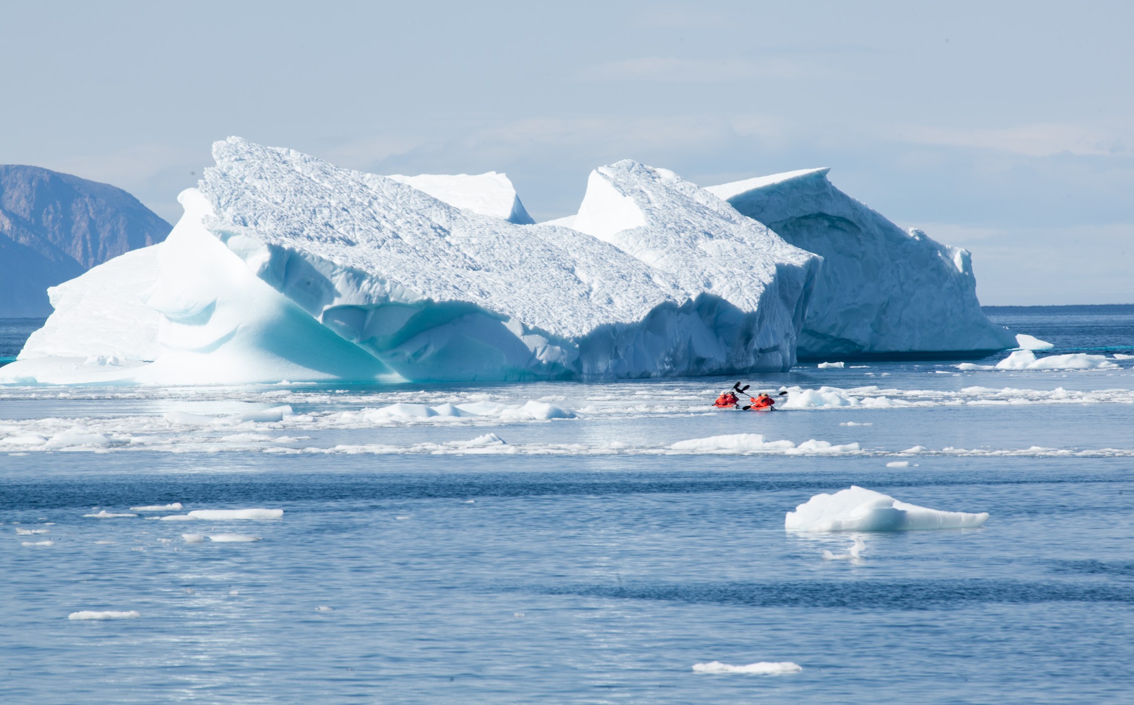 Why Arctic Safaris are the new African Safari