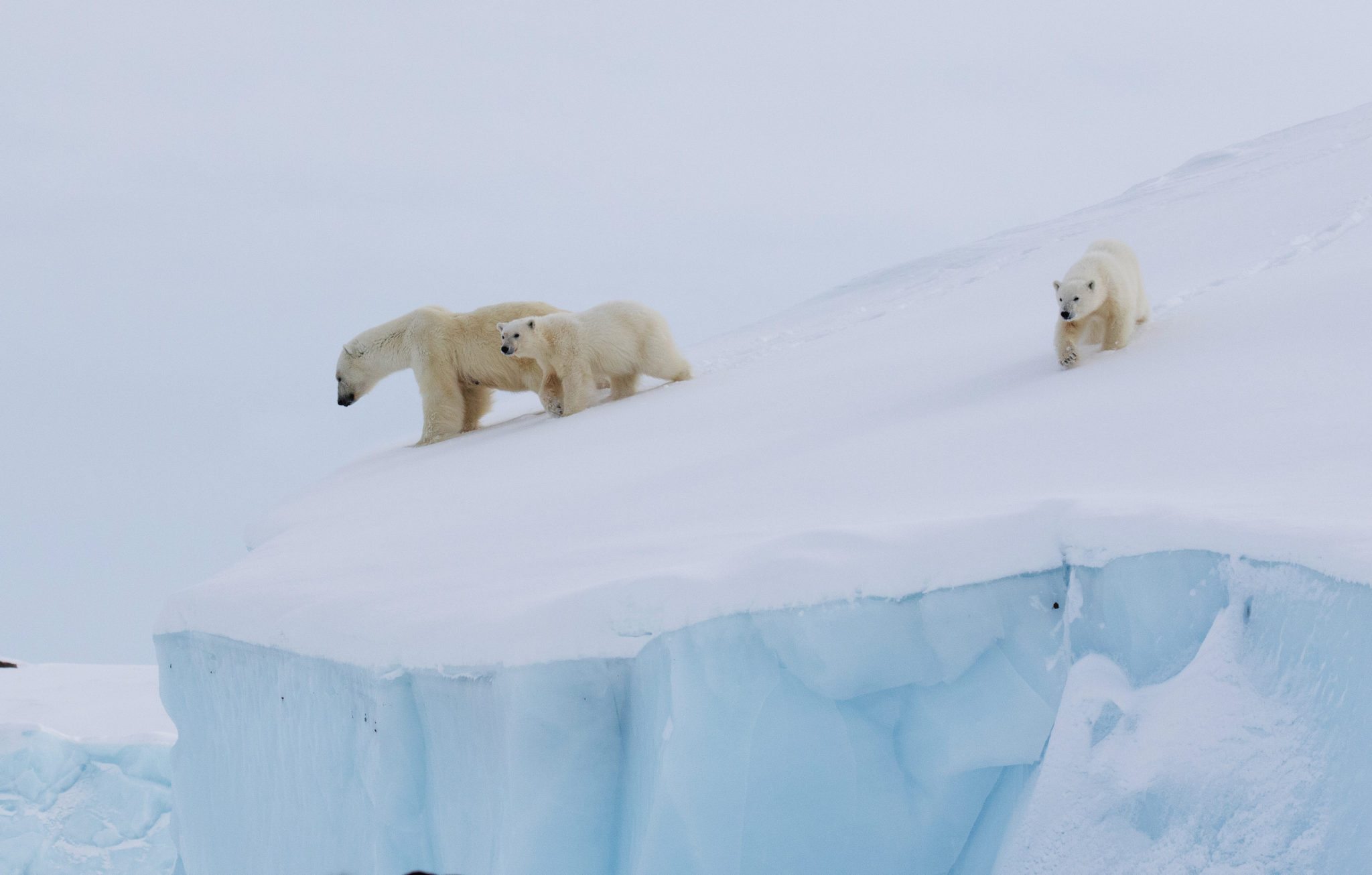 Bucket List Experiences on Trips to the Arctic Circle