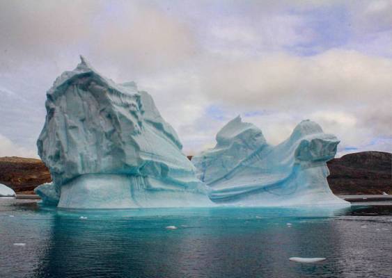 Foraging the Tundra in Qikiqtarjuaq | Arctic Kingdom